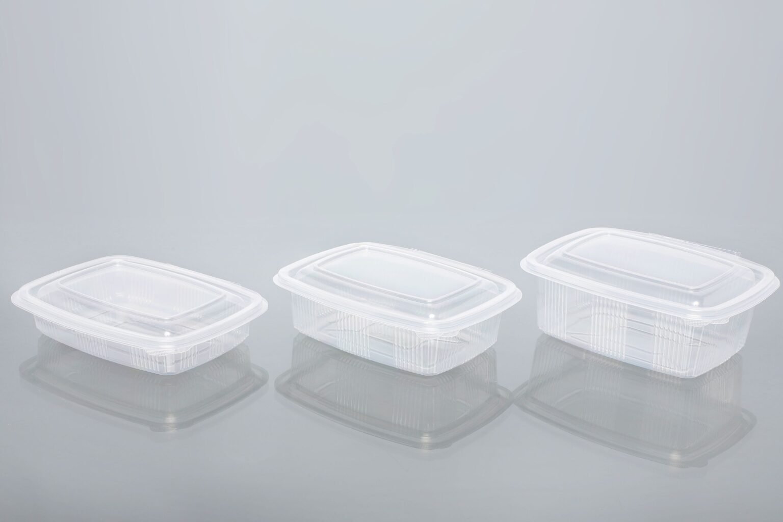 MEAL BOXES - Oracle Group - Nation's Leader And Global Player